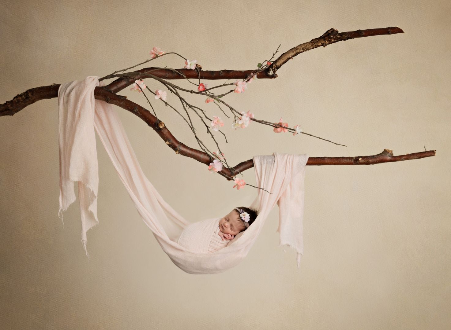 Meet Amy Stephens | Owner and Photographer – SHOUTOUT COLORADO